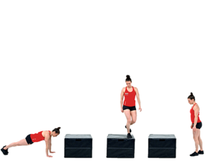 Zeta Wolf Fitness – Zeta Wolf Fitness